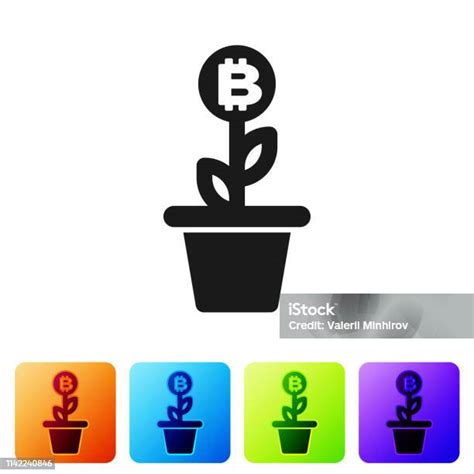 흰색 바탕에 냄비 아이콘에 검은 비트 코인 공장 비즈니스 투자 성장 개념입니다 블록 체인 기술 암호 화폐 채굴 색상 사각형 버튼에 아이콘을 설정 합니다 벡터 일러스트 0명에