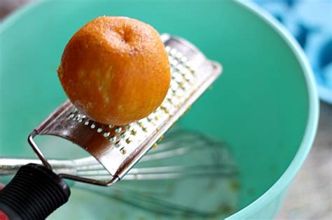 Diy Garbage Disposal Cleaner Easy Homemade Disposal Refresher