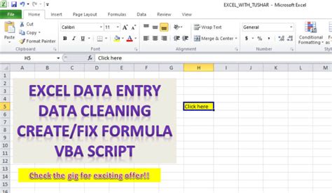 Help You With Excel Formulas Macros Vba Script Data Cleaning By Excelwithtushar Fiverr