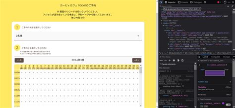 Reservation Bot With Selenium