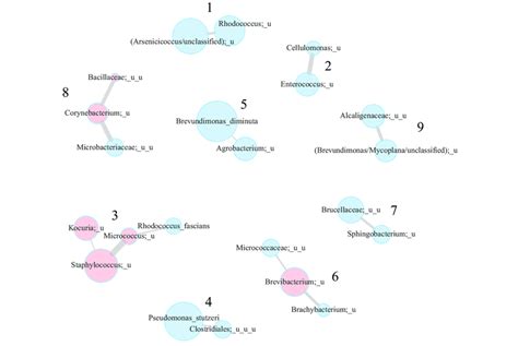 Microbial Clusters Co Occurrence Groups Of Species Calculated Using