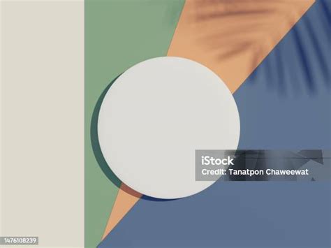 3d는 여름 배경이 있는 야자수 잎의 그림자가 있는 제품을 모형화하고 전시하기 위한 흰색 빈 실린더 프레임의 평면도를 렌더링합니다 0명에 대한 스톡 사진 및 기타 이미지