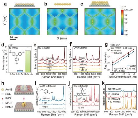 具有分子浓缩富集功能的金纳米颗粒阵列sers器件构建 X Mol资讯