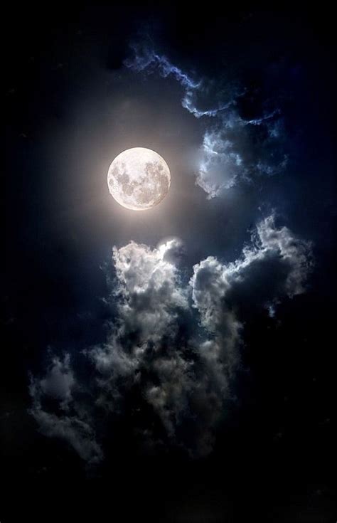 Welcome Friend On Tumblr