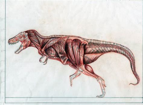Dinosaur Muscles Animal Drawings Prehistoric Creatures Drawings
