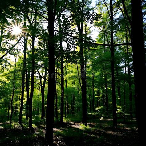 A Soft Bokeh Effect With Glowing Orbs In Shades Of Gold And White Stock Illustration