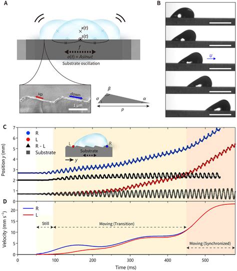 Propulsion Of An Oscillating Water Droplet A Schematic Of An
