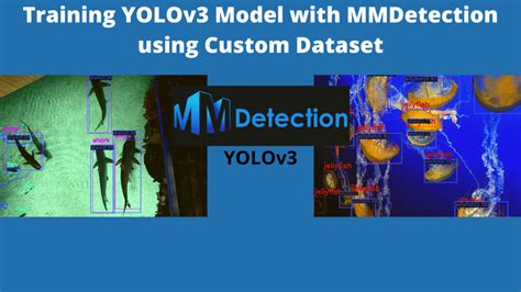 Tutorial Training Yolov3 Model With Mmdetection Using Custom Dataset Rpytorch