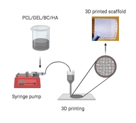 3d Printed Polycaprolactonegelatinbacterial Cellulosehydroxyapatite Composite Scaffold For