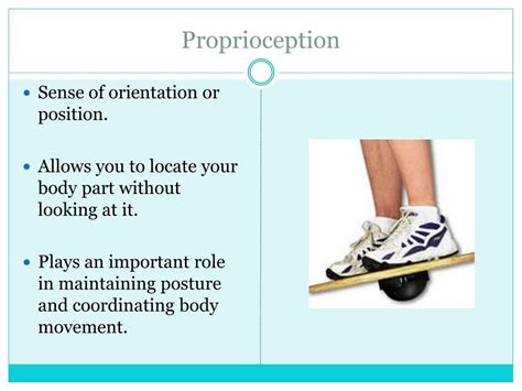 Ppt Sensory System Powerpoint Presentation Free Download Id2185182