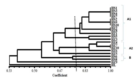 Dendrogram Derived From Cluster Grouping Based On Dice Similarity