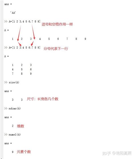 Matlab 数组、矩阵、方阵、行列式、向量 知乎