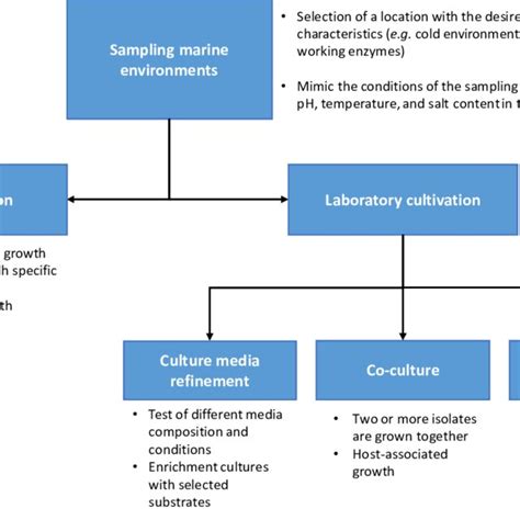 New Cultivation Approaches For Isolation Of Microbial Species From