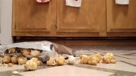 Popcorn Crush Walkover Video Thisvid Com