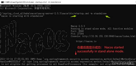 Nacos在windows10启动失败问题解决办法nacos不在localhost启动 Csdn博客