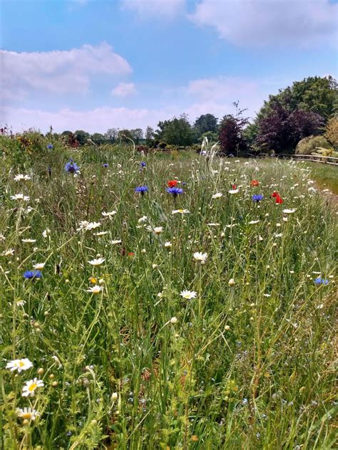 Trevor Bendall On Linkedin Update On 500m2 We Seeded Last September The Area Was Previously