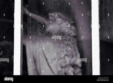 Window With Spider Web Hi Res Stock Photography And Images Alamy