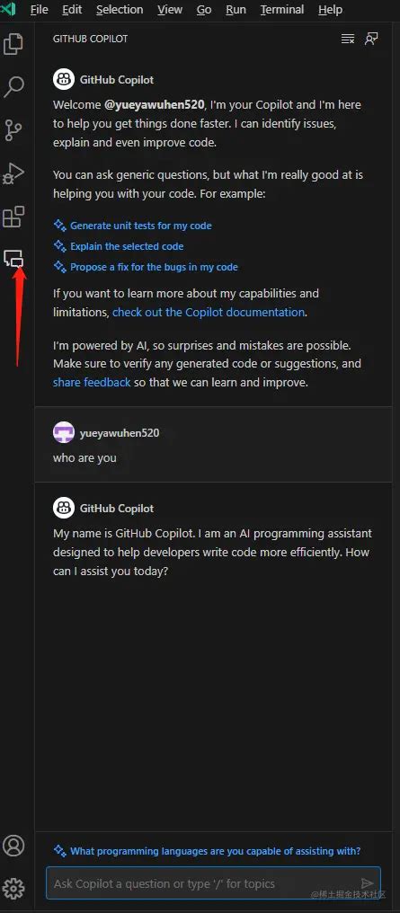🔥github Copilot X And Copilot Chat 强势插件登场！💥在 Github Copilo 掘金