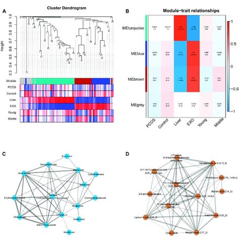 A The Cluster Dendrogram Of Co Expression Network Modules Ordered By Download Scientific