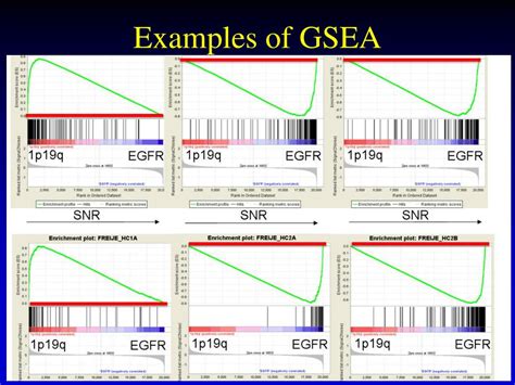 Ppt Differential Expression Analysis Multiple Hypotheses Testing