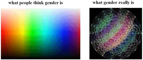 The True Gender Spectrum Rlgbtmemes