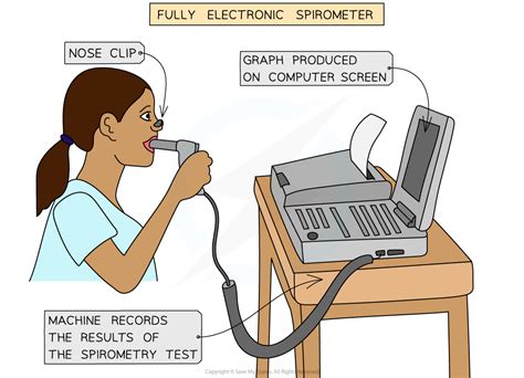 Spirometers Ocr A Level Biology Revision Notes 2017