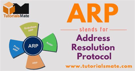 ARP Full Form What Is The Full Form Of ARP TutorialsMate