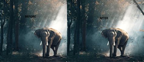 Image Optimization With Python In Scale Guideline Holistic Seo