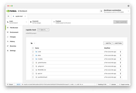 Nvidia Ai Workbench — Rapids Deployment Documentation Documentation