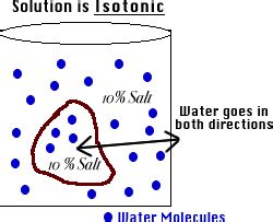 Isotonic Solutions
