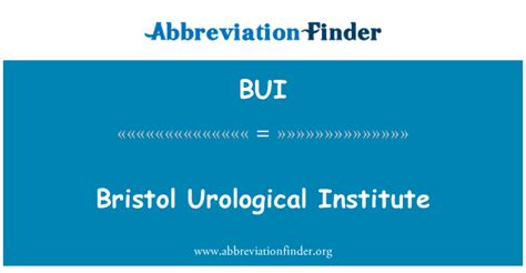 Bui 代表 布里斯托尔泌尿外科研究所 Bristol Urological Institute