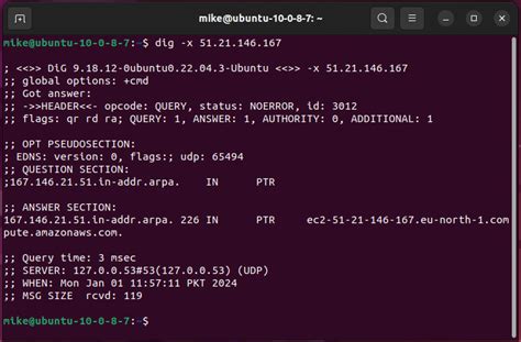 Dns Ptr Record Lookup Check Pointerptr Records