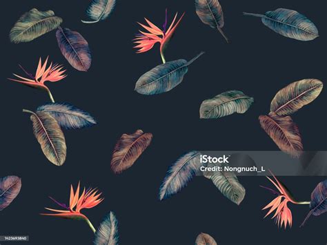 다채로운 나뭇잎 이음새가 없는 무늬 어두운 배경으로 낙원의 수채화 그림 새 수채화 손으로 그린 그림 벽지 섬유 하와이 알로하 정글 패턴을위한 열대 이국적인 잎 인쇄물 0명에