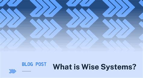 What Is Wise Systems