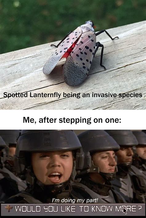 The Only Good Bug Is A Dead Bug Rfunny