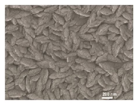 Surface Morphology Of Gzo Film With Thickness ~800 Nm On Different Zno Download Scientific