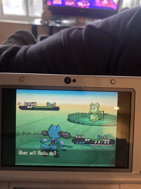 [genv] random full odds shiny azurill i caught in black 2 r shinypokemon