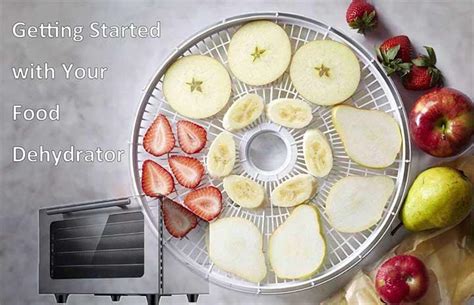 Getting Started With Your Food Dehydrator Septree