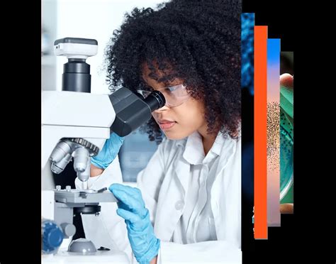 Diagnostic Decision Support For Pathology Expertpath Elsevier