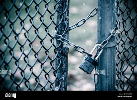 How To Build A Gate For Chicken Wire Fence At Bennie Morris Blog