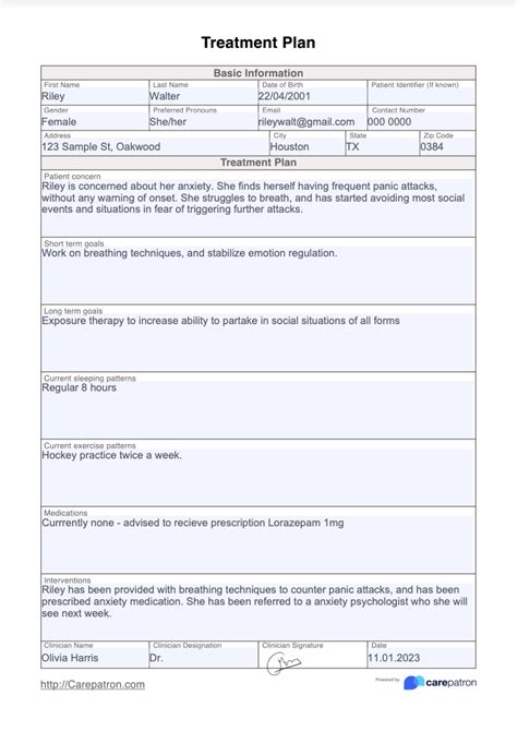 Free Counseling Treatment Plan Template Word