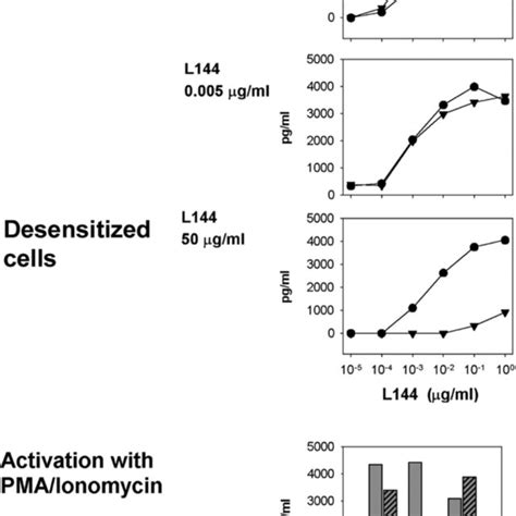 Selective Loss Of Il 2 But Not Ifn γ Production From Desensitized 1b6 T Download Scientific
