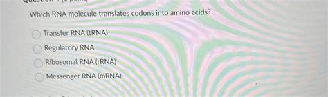 Solved Which Rna Molecule Translates Codons Into Amino