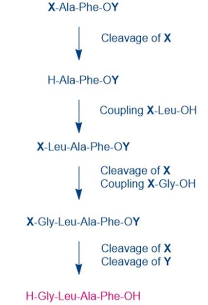 Bachem Peptide Synthesis