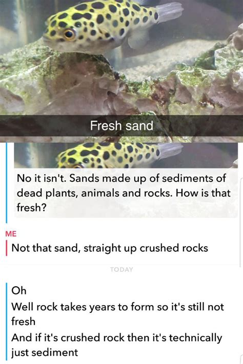 create stack with portainer api r portainer