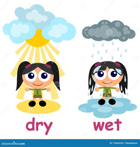 Wet And Dry Stock Vector Image Of Educate Colorful 17666230