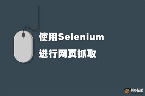 如何使用selenium stealth进行网页抓取 姚伟斌