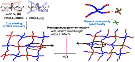Acs Macro Letters Vol 13 No 1 Acs Publications
