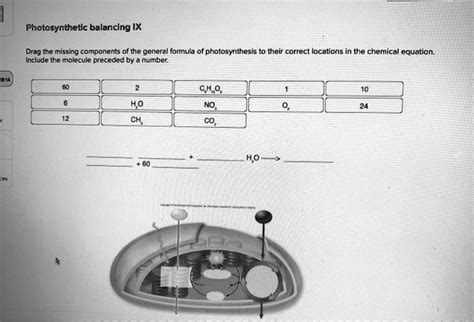 Solved Photosynthetic Balancing Ix Drag The Missing Components Of The General Formula Of