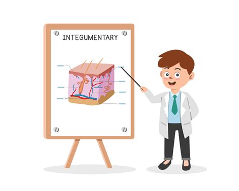 Integumentary System Clipart Cartoon Style Doctor Presenting Human
